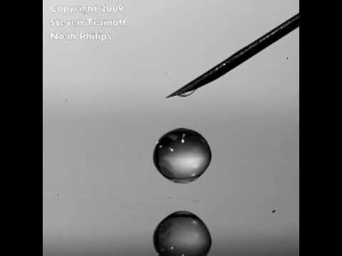 The Coalescence Cascade – FYFD