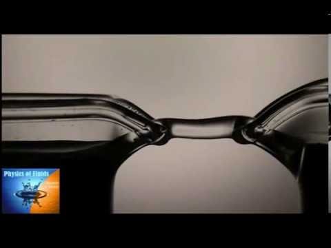 The Floating Water Bridge – FYFD