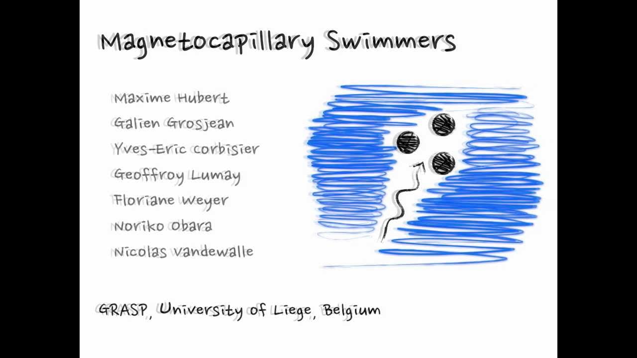 The Cheerios Effect and Tiny Swimmers – FYFD