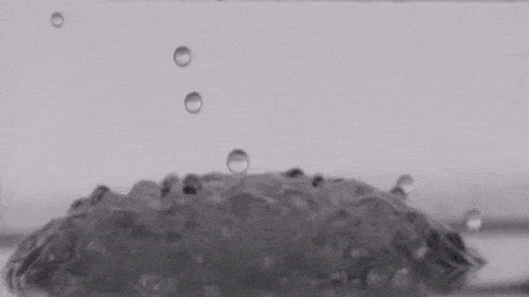 Breaking Drops with Vibration – FYFD