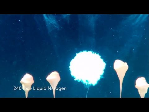Underwater Explosions – FYFD