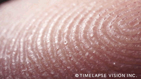 How We Sweat – FYFD