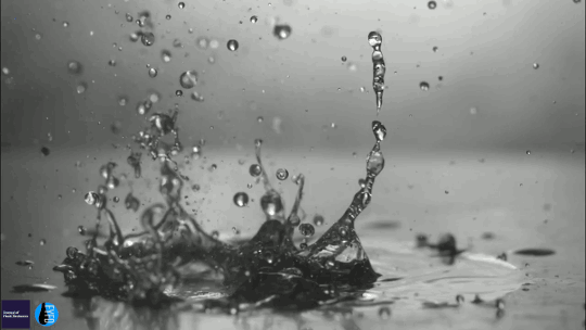 Water Walking, Exploding Droplets, and Colliding Vortices – FYFD
