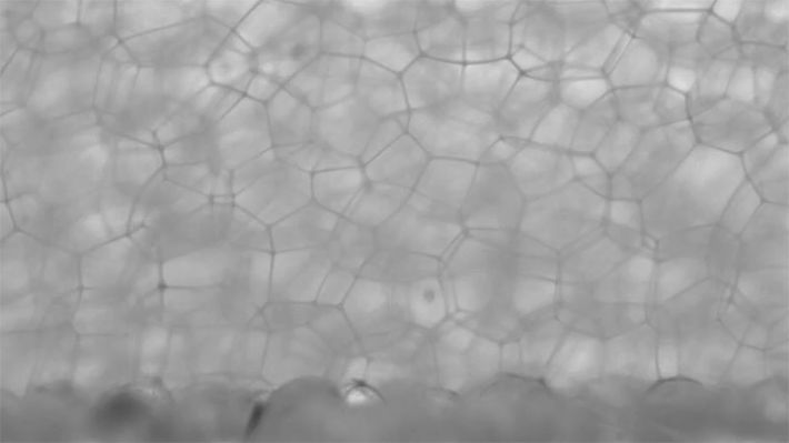 Sliding Foams – FYFD