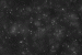 Bacterial Turbulence – FYFD
