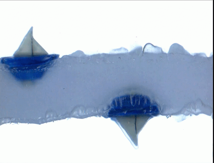 Floating in Levitating Liquids – FYFD