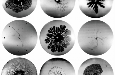 Saffman-Taylor instability – FYFD