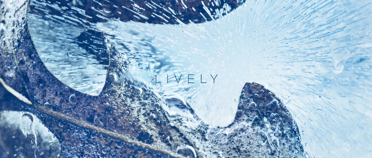 “Lively” – FYFD
