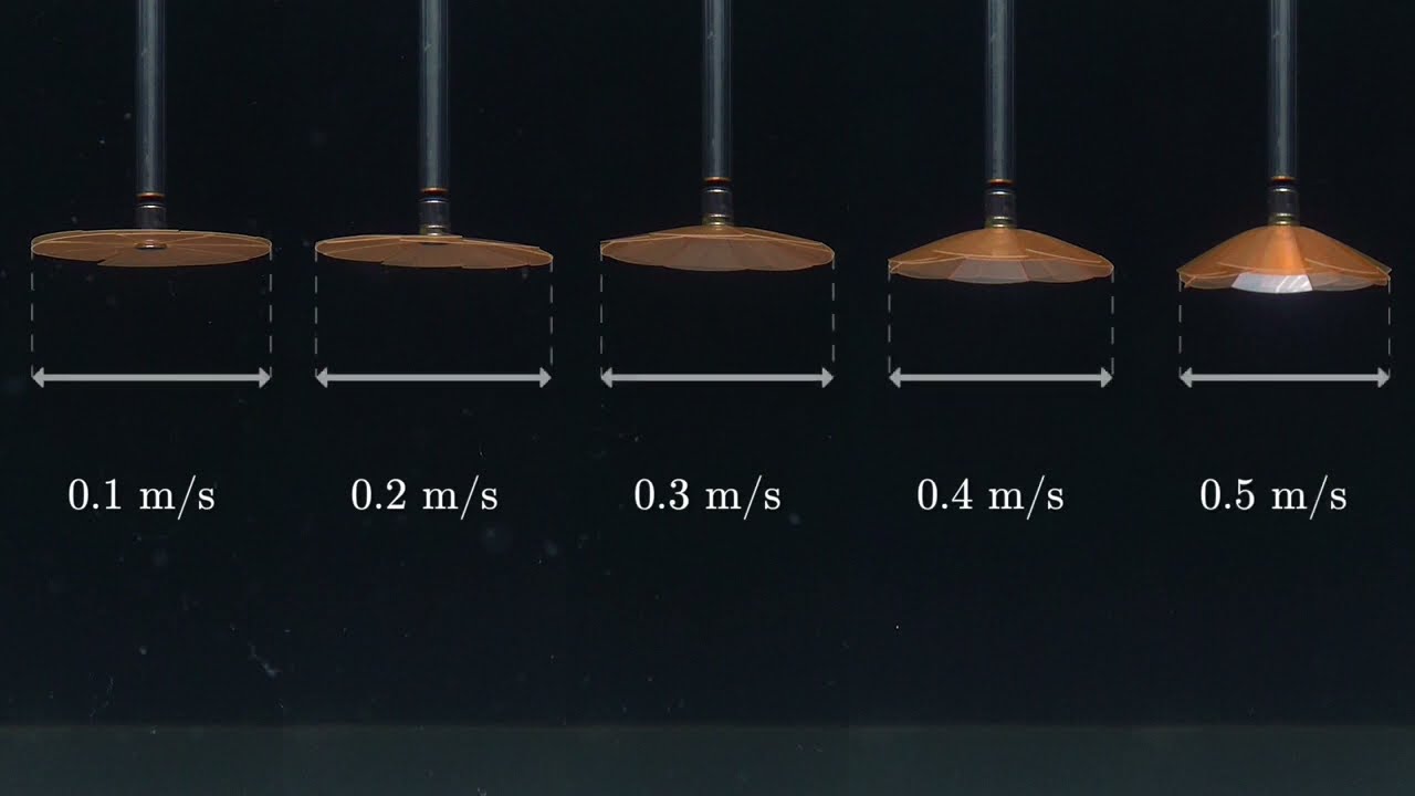 “Reconfiguring It Out” – FYFD