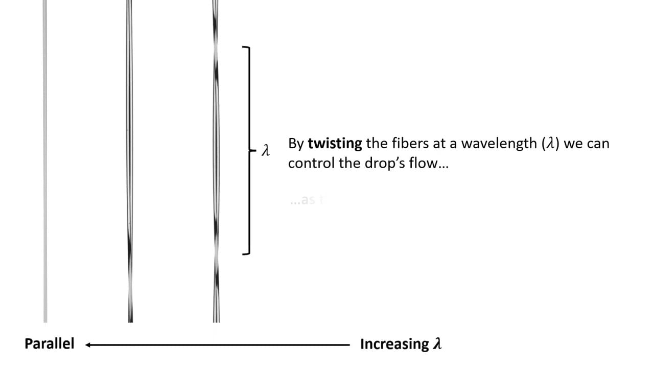 Twisted Fibers – FYFD