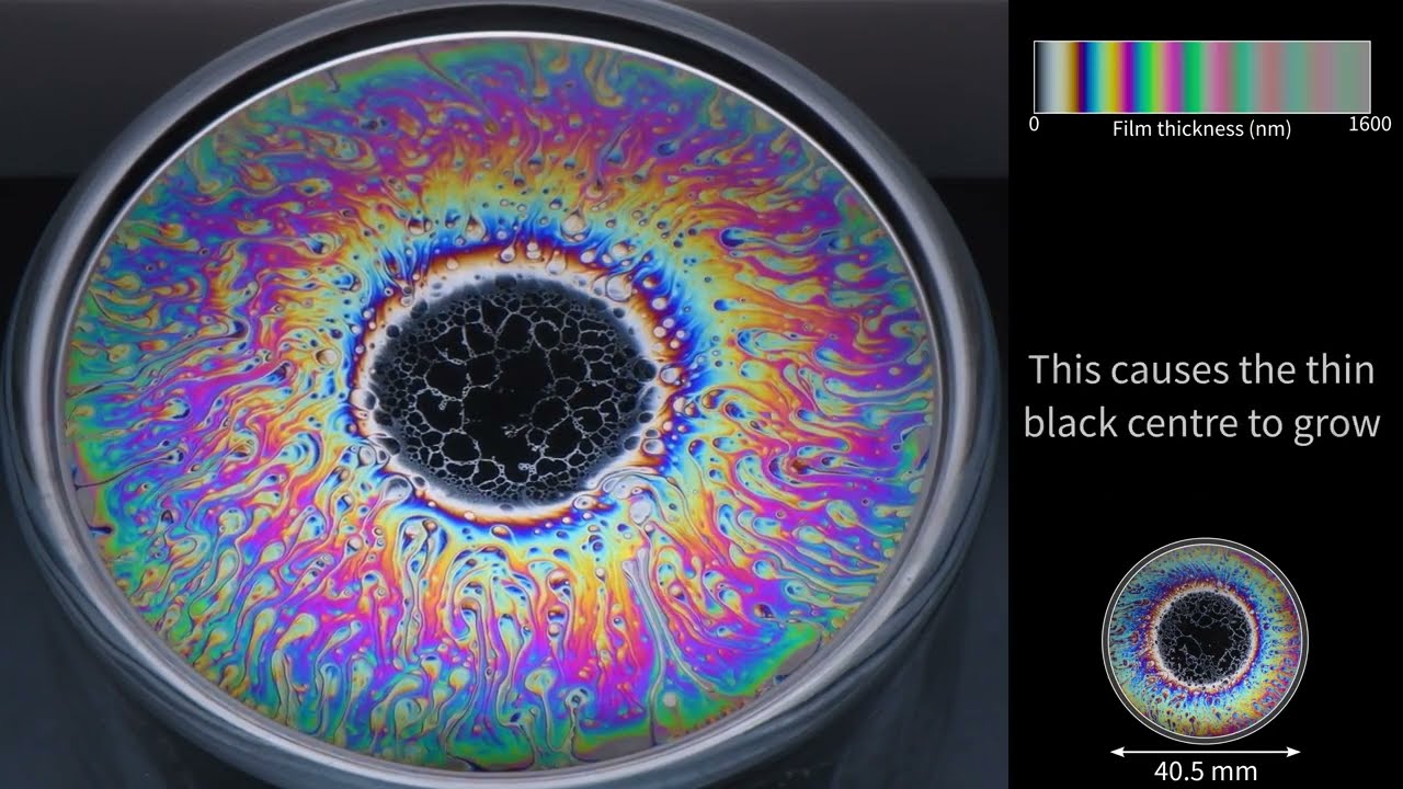 Magnetic Soap Films – FYFD