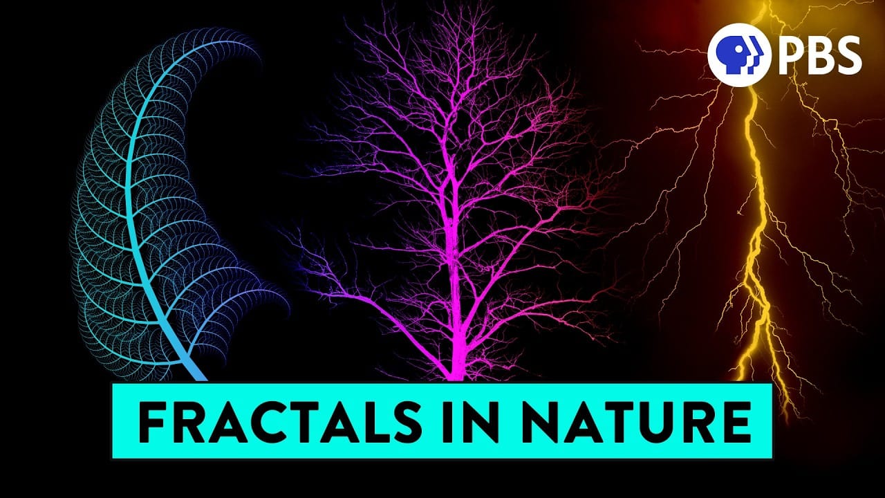 Why Nature Loves Fractals – FYFD