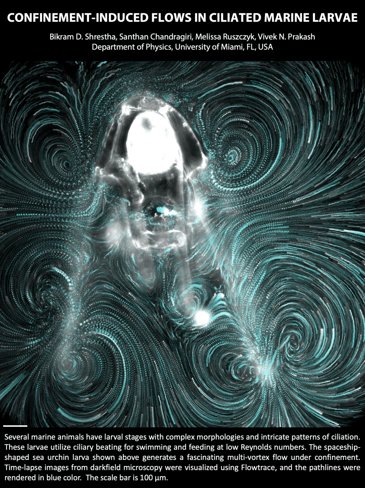 Ciliary Pathlines – FYFD