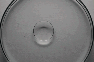 FYFD – Page 24 – Celebrating the physics of all that flows