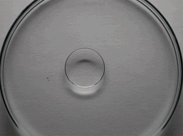 Liquid Lens Rupture – FYFD