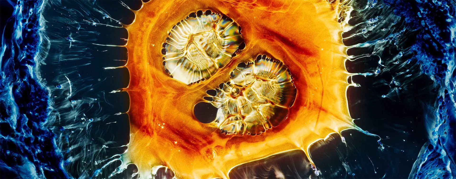 Rome Fluid Dynamics